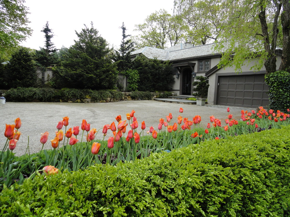 Spring Bulb Designs - Traditional - Landscape - Boston - by The Garden ...