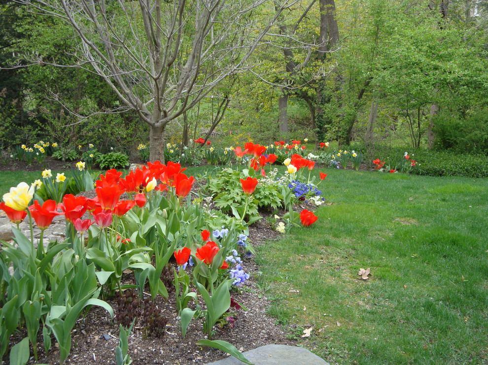 Spring Bulb Designs - Traditional - Landscape - Boston - by The Garden ...
