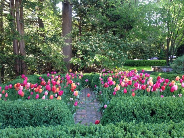 Spring Bulb Designs - Traditional - Garden - Boston - by The Garden ...