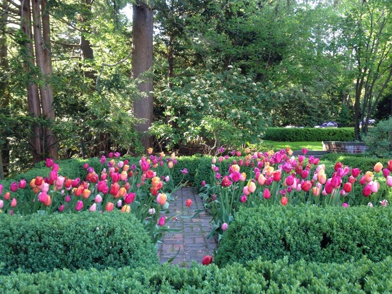 Spring Bulb Designs - Traditional - Landscape - Boston - by The Garden ...