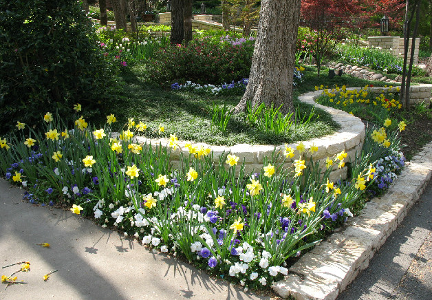 Spring Color - Traditional - Landscape - Dallas - by Texas Garden ...