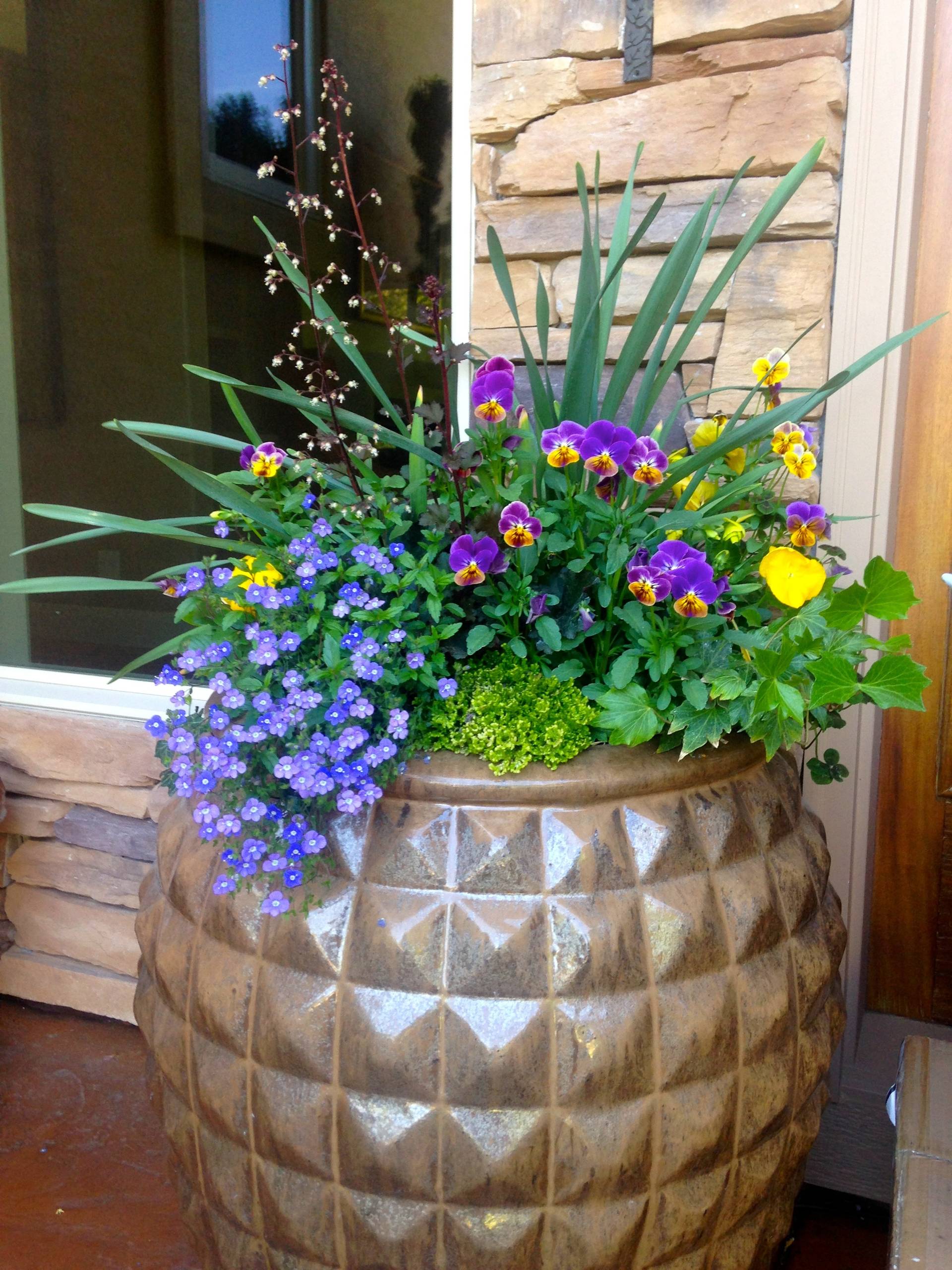 Images Of Modern Garden Container Spring Modern Fibreglass Garden