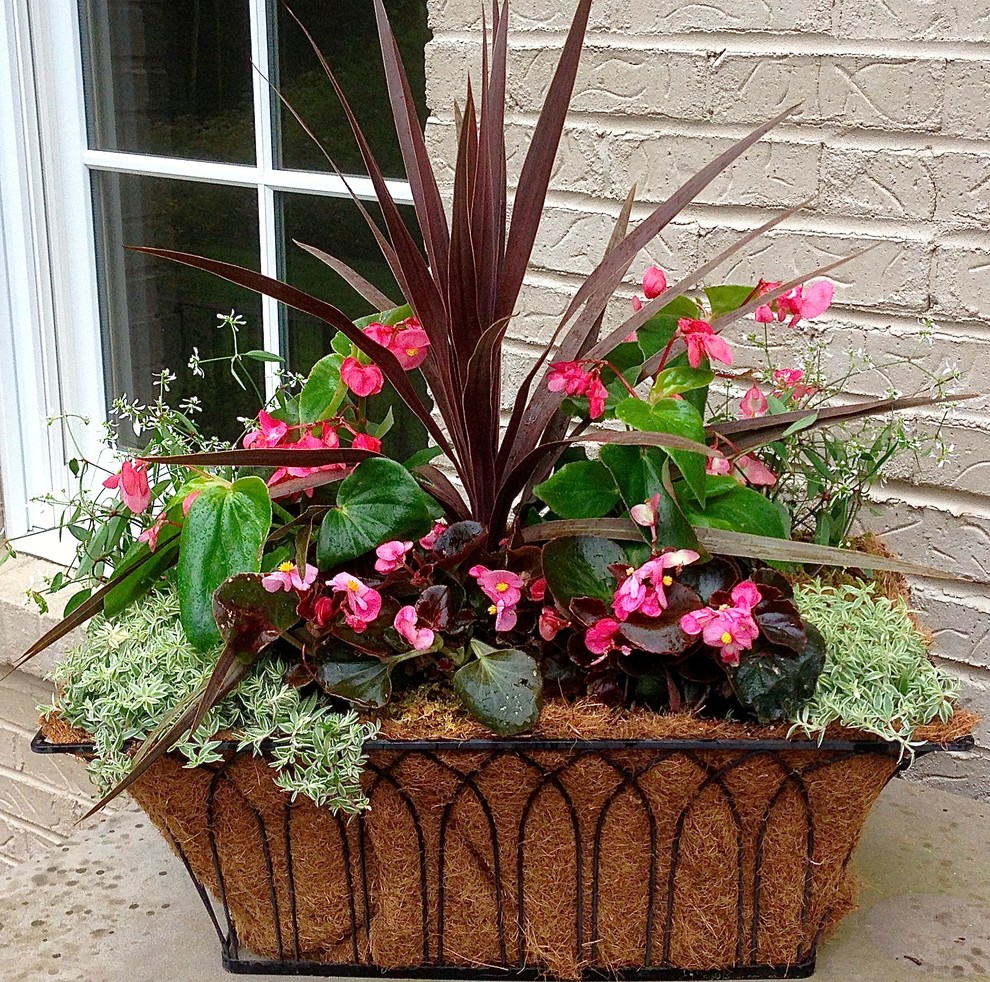 Spring Container Planting - Traditional - Landscape - Other - by Roots ...