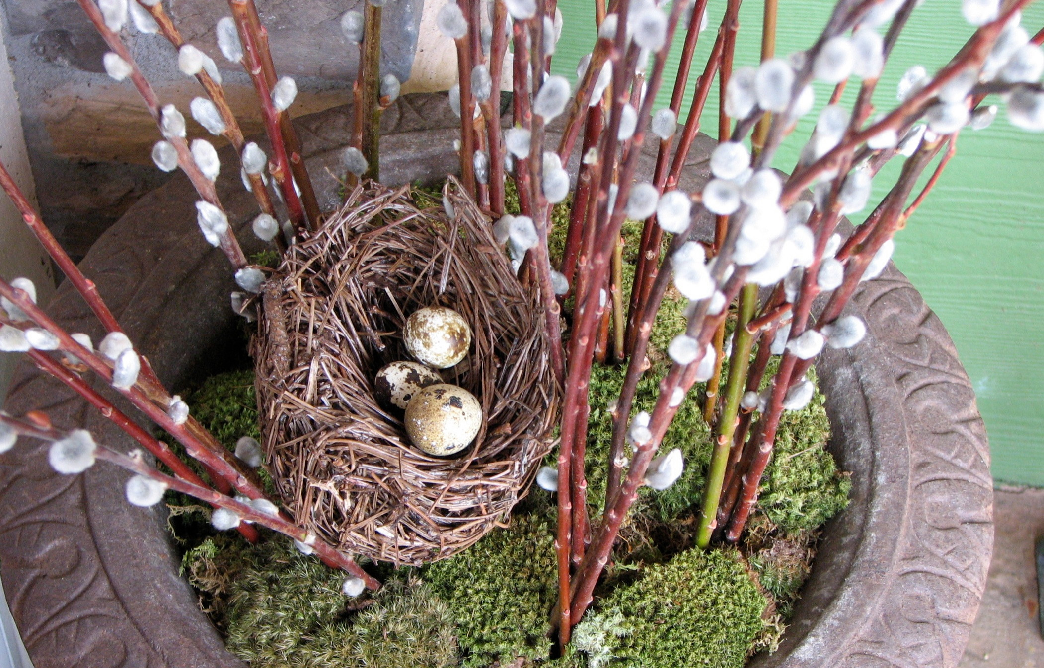 12 Stunning Spring Container Gardens