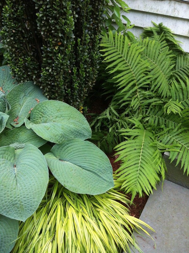 Spring foliage color and texture - Contemporary - Landscape - Boston ...