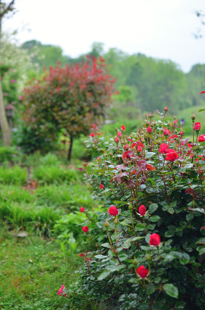 Spring Garden - Traditional - Landscape - Philadelphia - by Amy Renea ...
