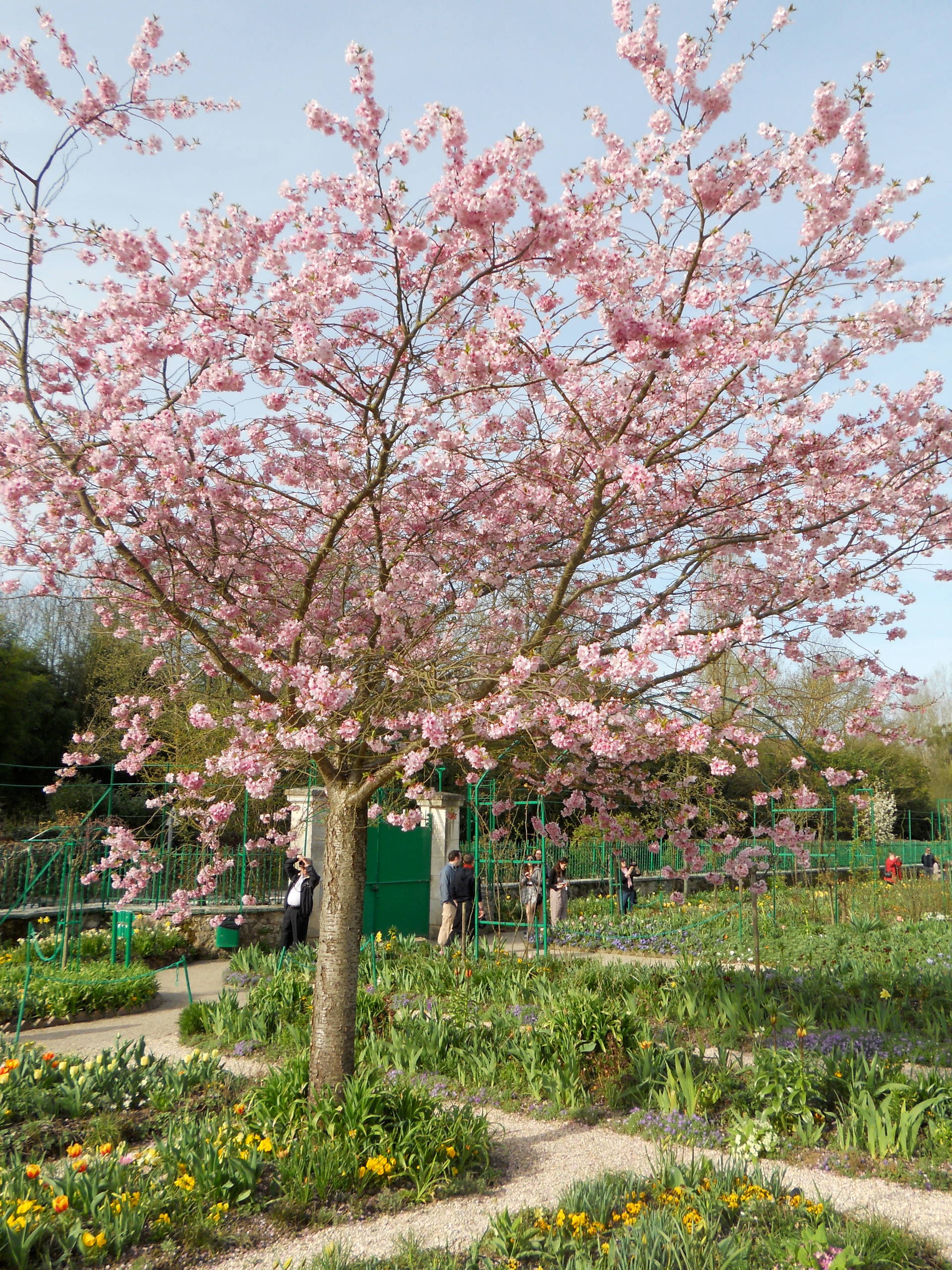 Take a Mini Springtime Tour of Monet's Giverny Gardens