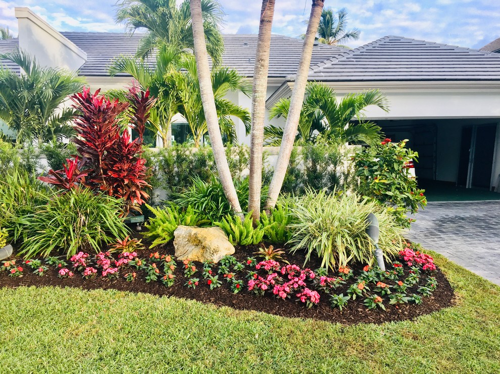 St. Andrews - Tropical - Landscape - Miami - by Jaguar Garden Designs ...
