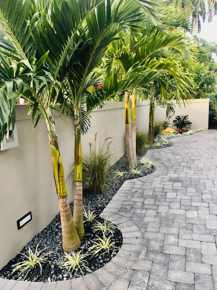 St. Andrews - Contemporary - Landscape - Miami - by Jaguar Garden ...