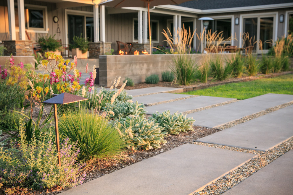 St Helena - Contemporary - Landscape - San Francisco - by Envision ...