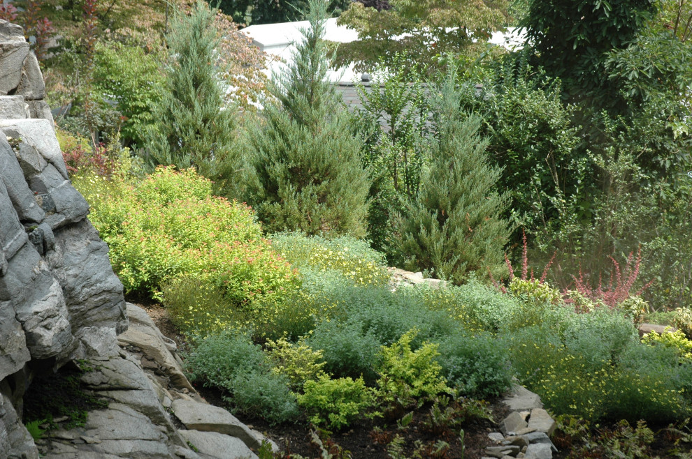 Steep slope after rock placement and planting - Garden - New York - by ...