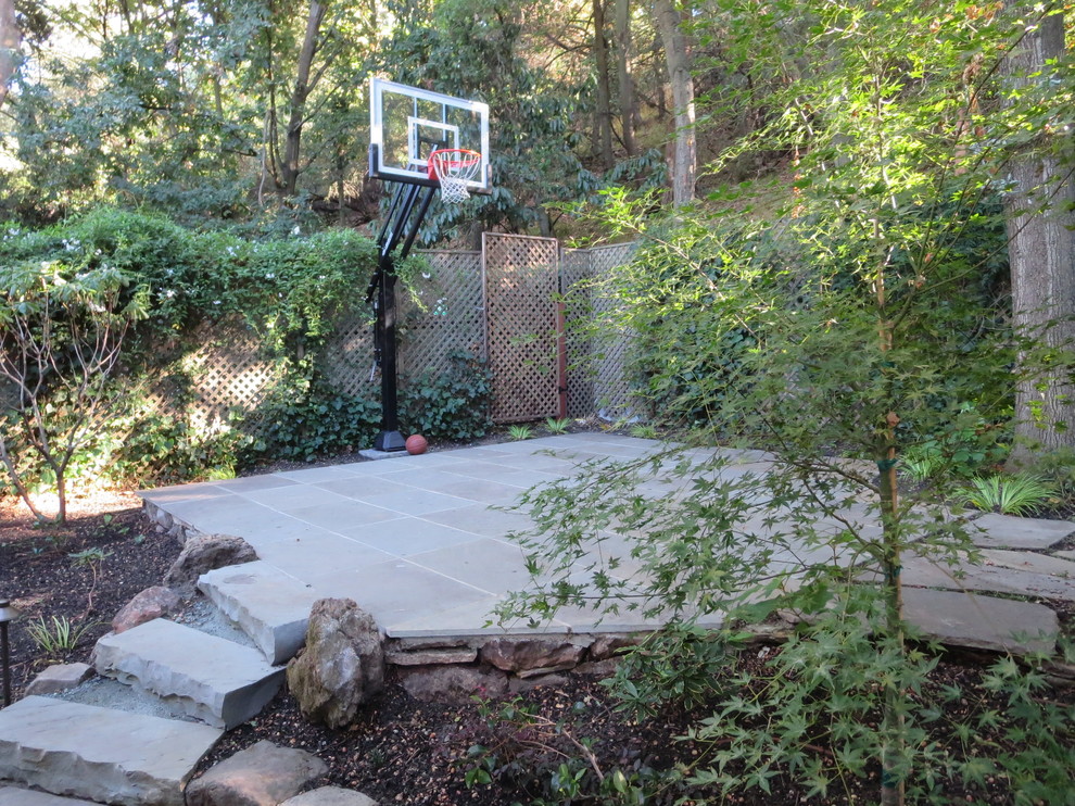 Stephen G's Pro Dunk Silver Basketball System on a 19x22 in Oakland, CA ...