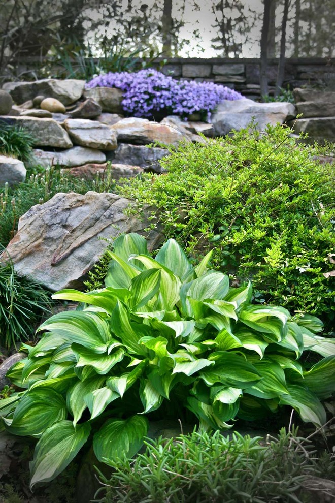 Stillwater - Landscape - Charlotte - by Edward Davis Landscape ...