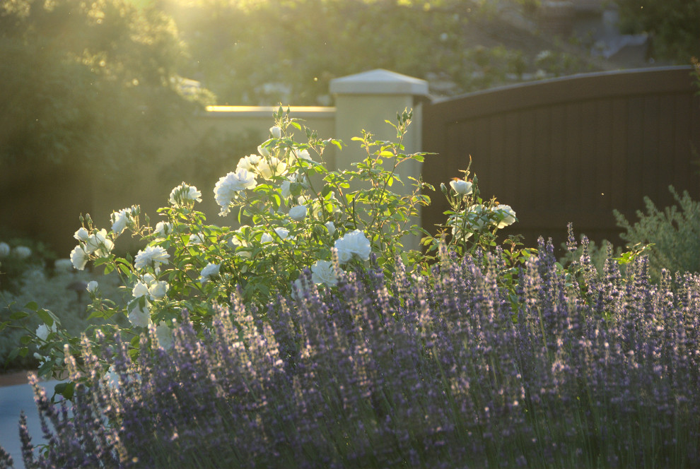 Stockbridge Residence - Mediterranean - Landscape - San Francisco - by ...