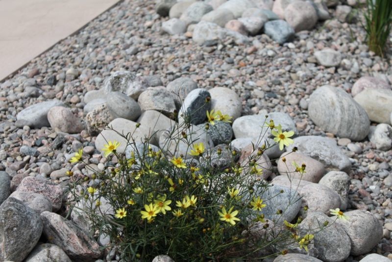 Stone Scape - Modern - Landscape - Toronto - by Springscapes Landscaing ...