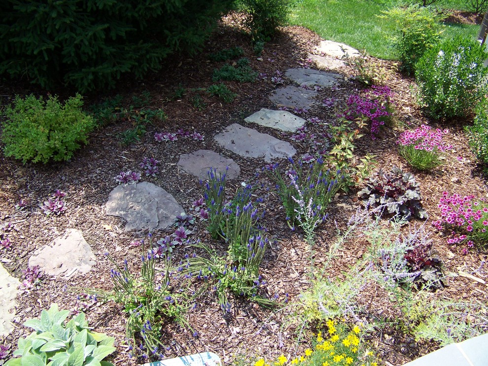 Stone Steppers & Mixed Perennial Border - Traditional - Landscape - DC ...