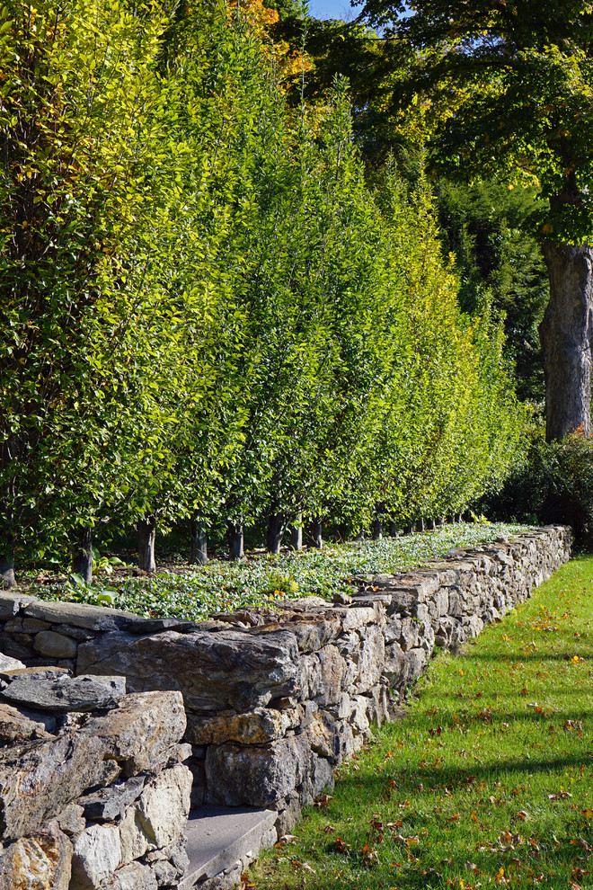 Stone Wall and Hedge - Traditional - Landscape - New York - by R DESIGN ...