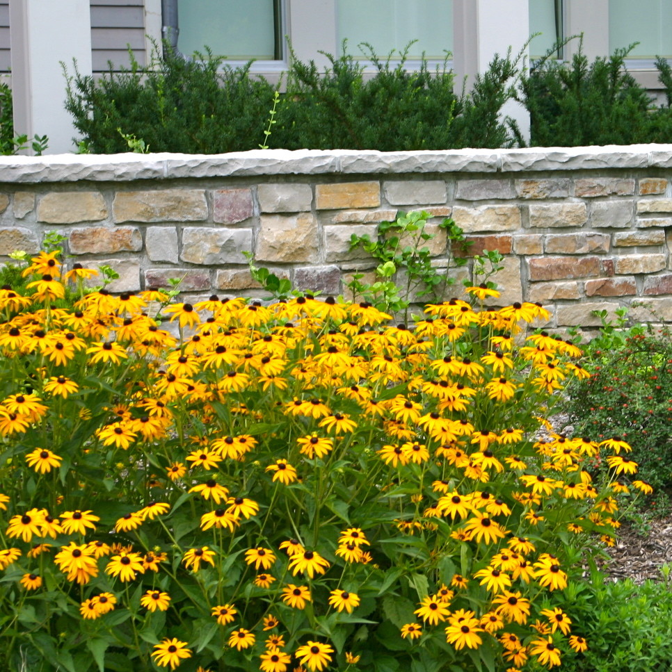 Stone Walls and Columns - Contemporary - Landscape - Chicago - by Elan ...