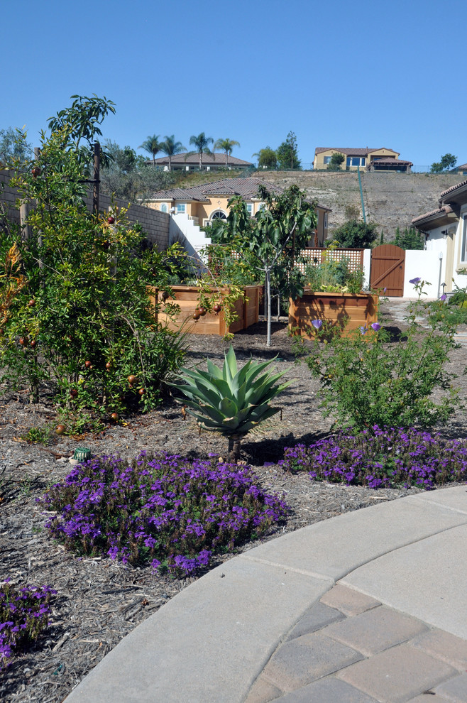 Stonebridge Estates - Mediterranean - Landscape - San Diego - by Letz ...