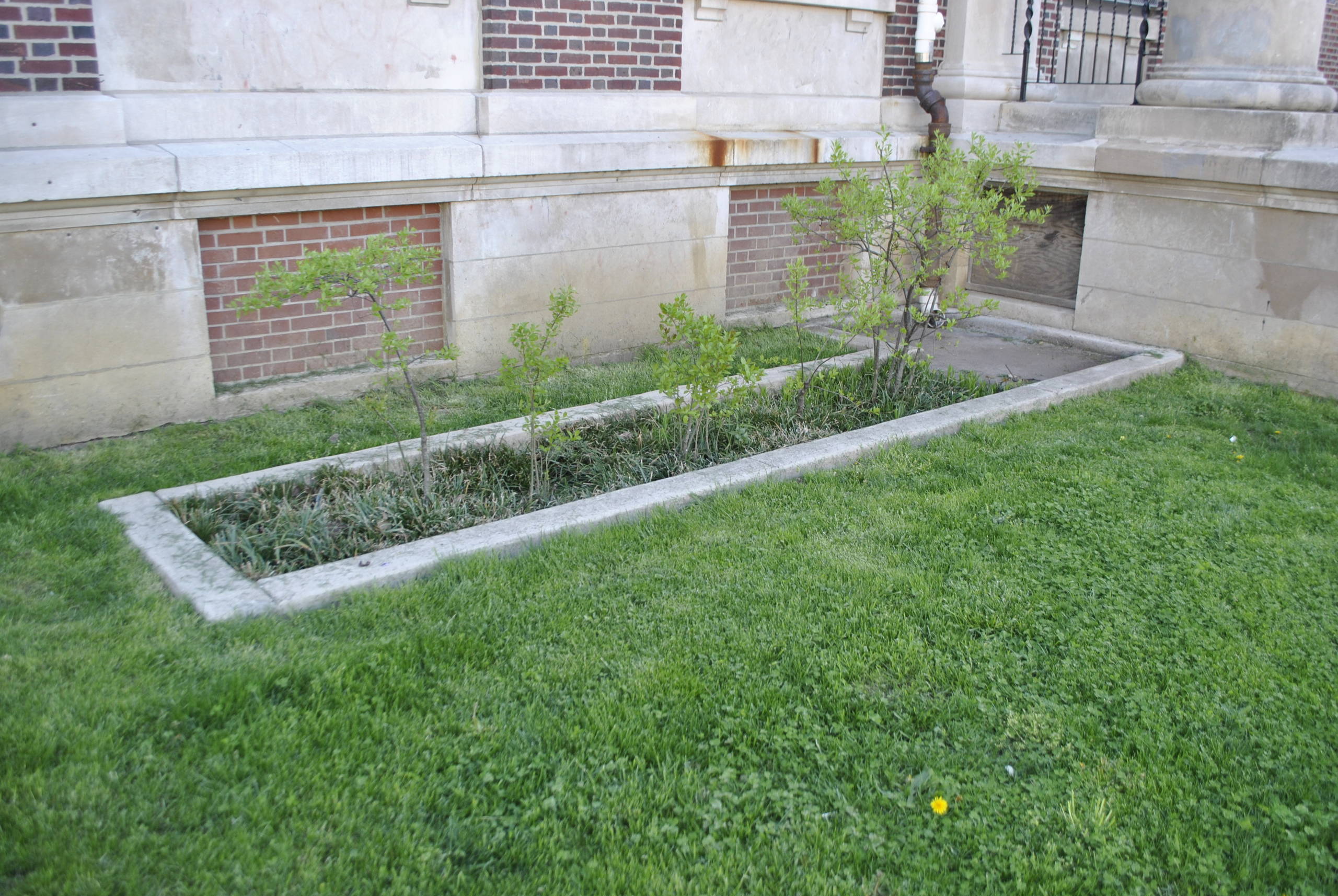 Stormwater Planters Manage Runoff in Small Gardens