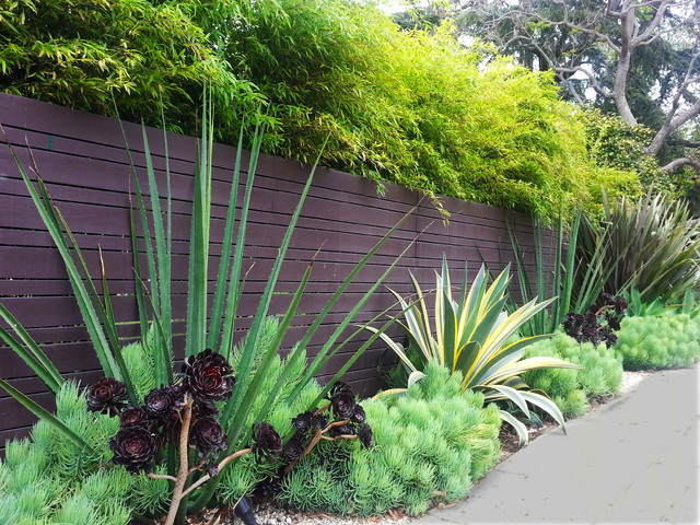 Street Planting - Contemporary - Garden - Los Angeles - by CARL BALTON ...