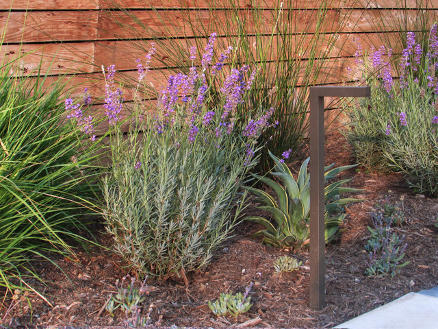 Stylish Digs in Echo Park - Modern - Garden - Los Angeles - by Urban ...