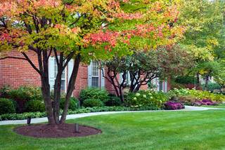 Suburban Retreat - Traditional - Landscape - Chicago - by NLH Landscape ...