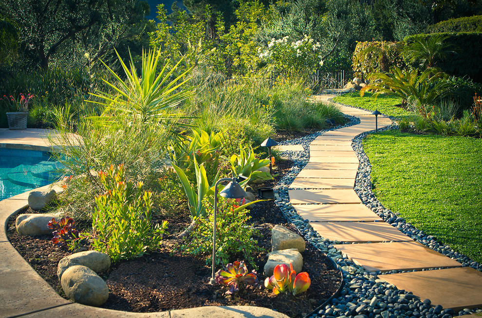 Succulent Pool Scaping - Back Yard - Traditional - Landscape - Los ...