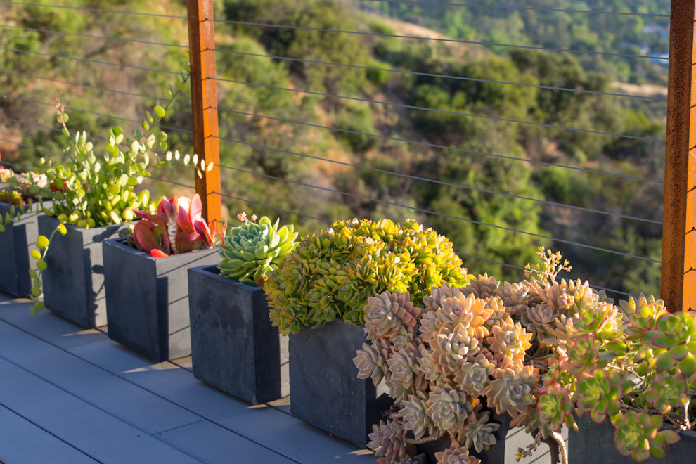 Succulents with concrete pavers and pebbles - Modern - Landscape - Los ...