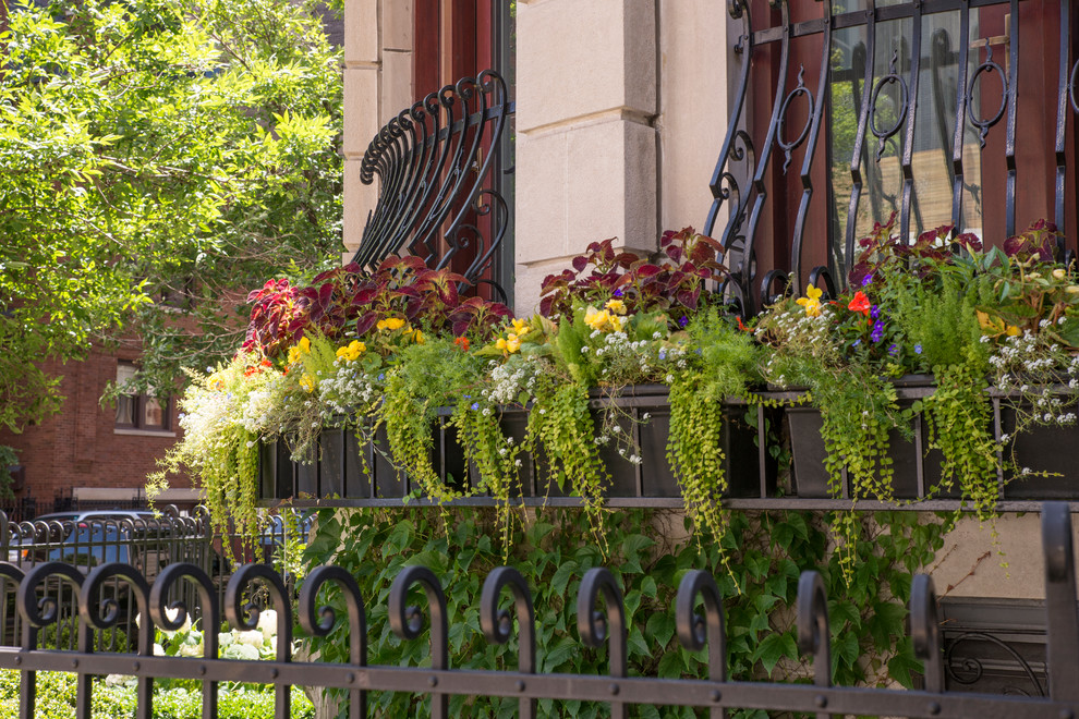 Summer Flower Containers & Annual Display - Traditional - Landscape ...