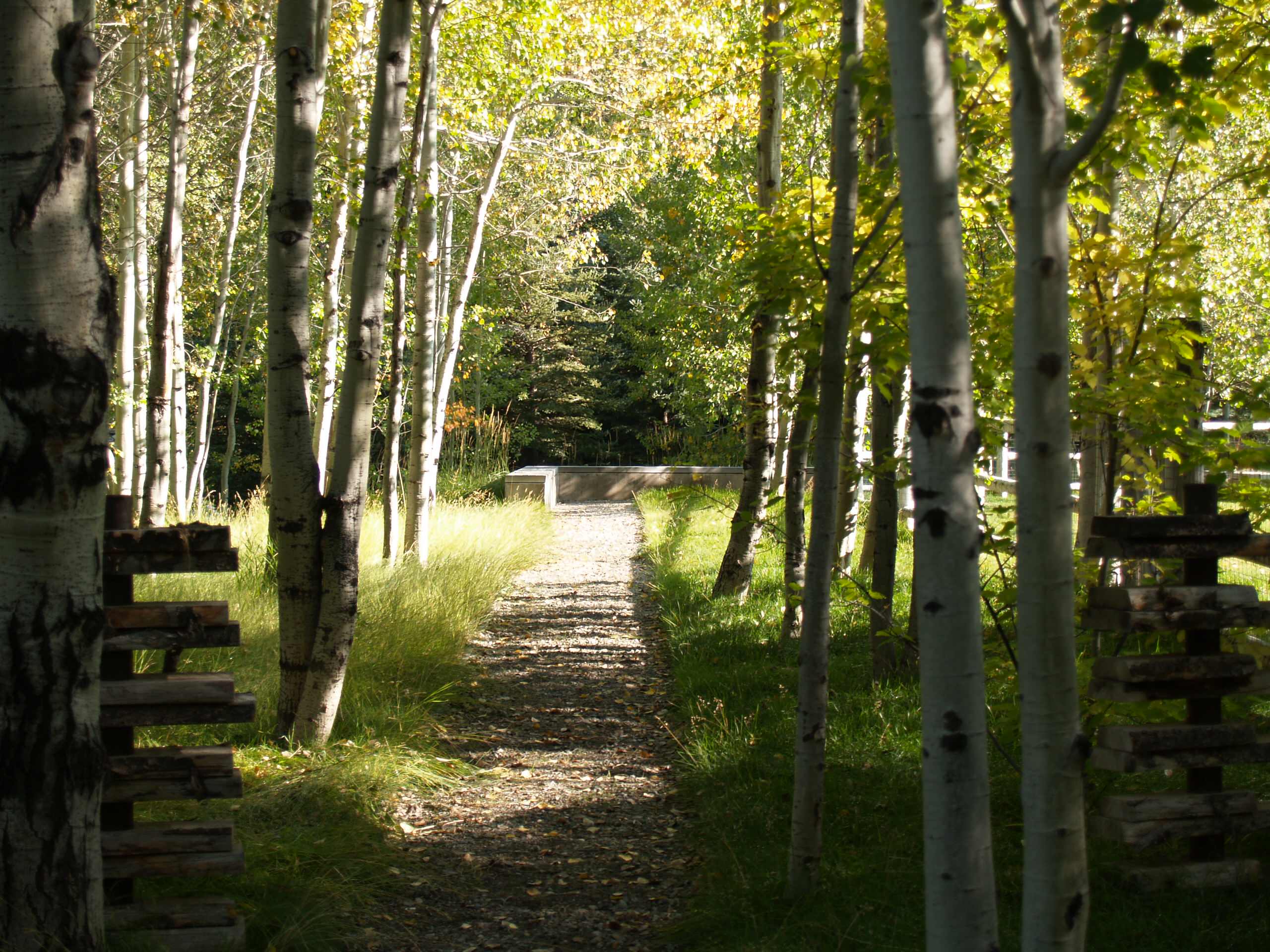 Comment définir la nature de son sol