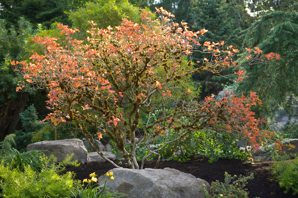 Sundance Landscapes - Traditional - Landscape - Seattle - by Sundance ...