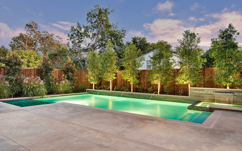 Sunnyland - Modern - Pool - Dallas - by DDLA Design Landscape ...