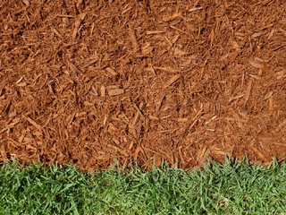 Superior Gold Mulch - Landscape - Orlando - by Major Mulch ...