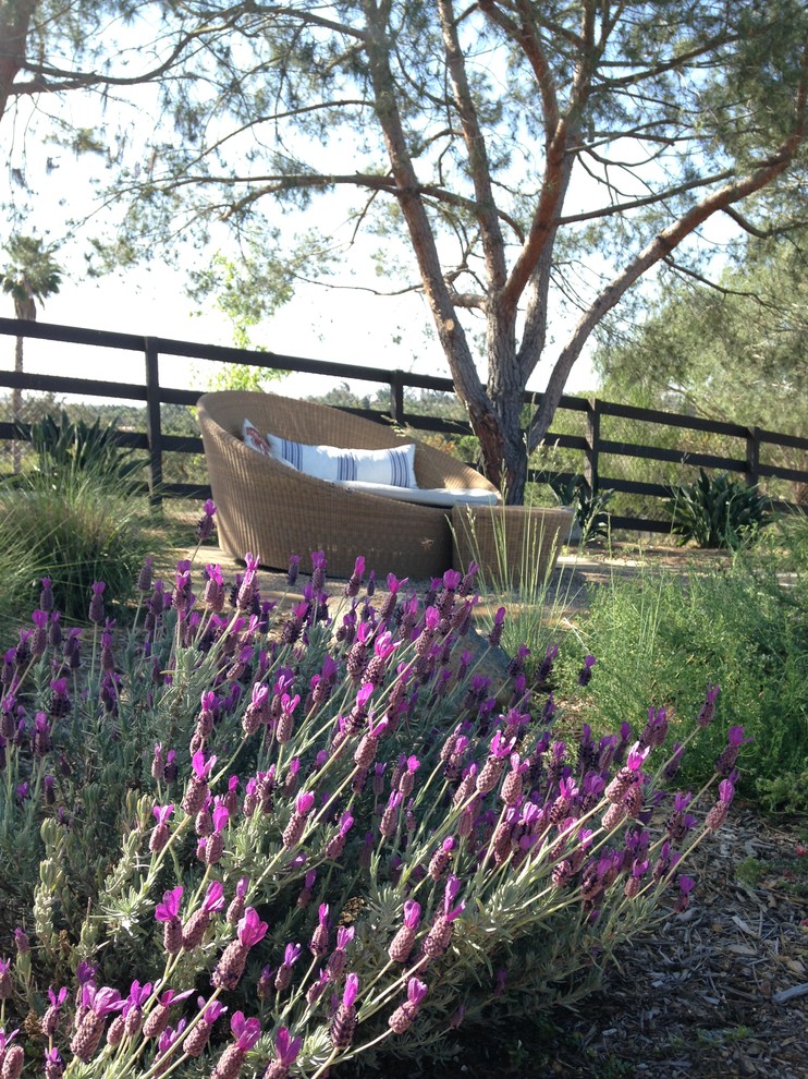 Sustainable Modern Ranch - Landscape - San Francisco - by Argia Designs ...