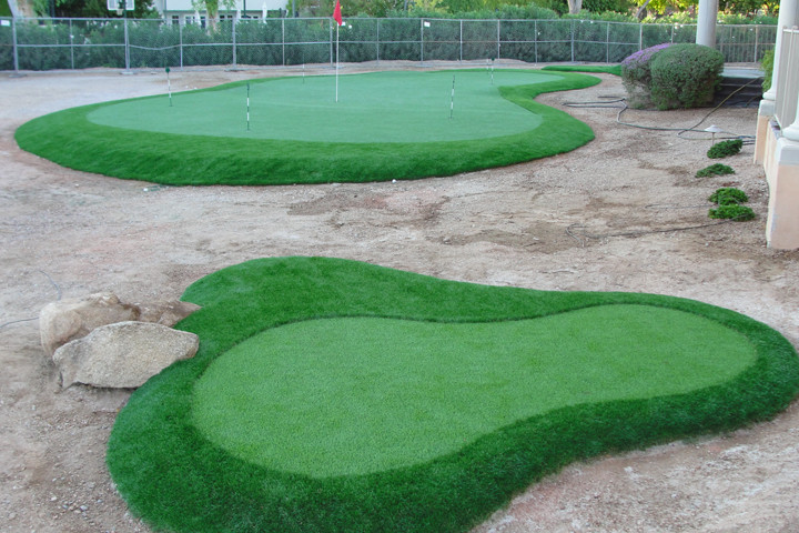 Synthetic grass - Traditional - Landscape - Phoenix - by Arizona Living ...