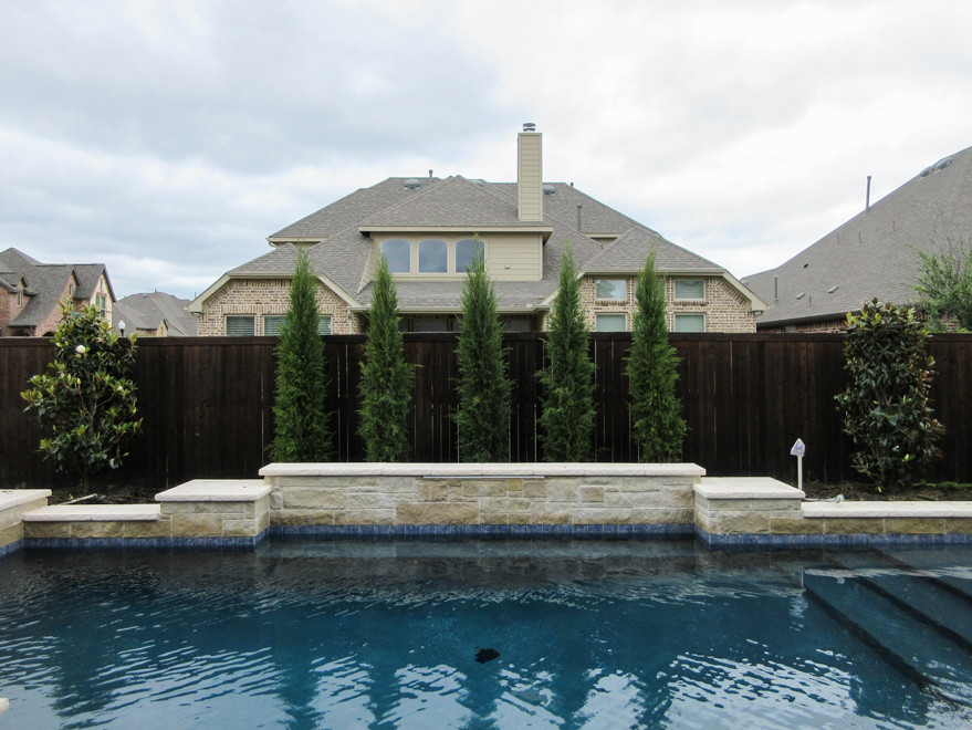 Taylor Eastern Red Cedars (Taylor Junipers) - Landscape - Dallas - by ...