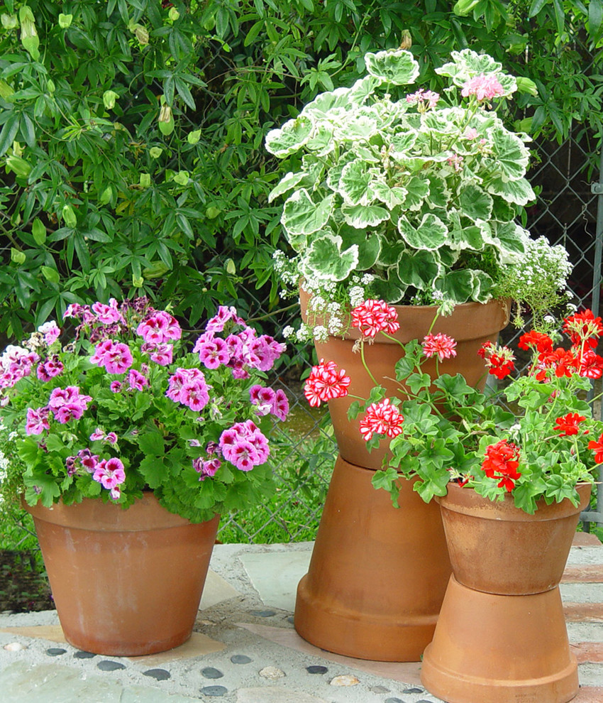 Terra Cotta Tower of Flowers - Eclectic - Landscape - Los Angeles - by ...