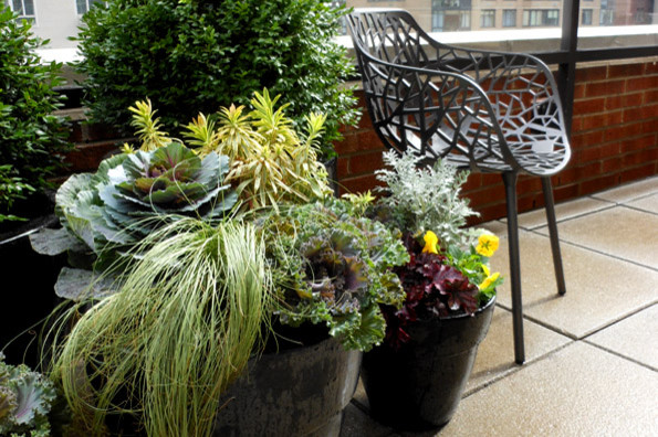 Terrace Garden NYC - Contemporary - Landscape - New York - by Jeffrey ...