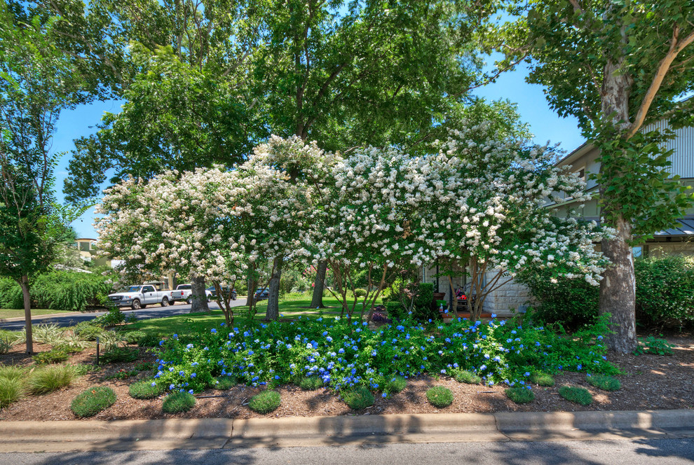 Texas Full Sun - Traditional - Landscape - Austin - by Pearson ...