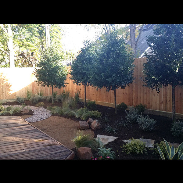 Texas Native Backyard - Garden - Houston - by HDG Landscape Design, LLC ...