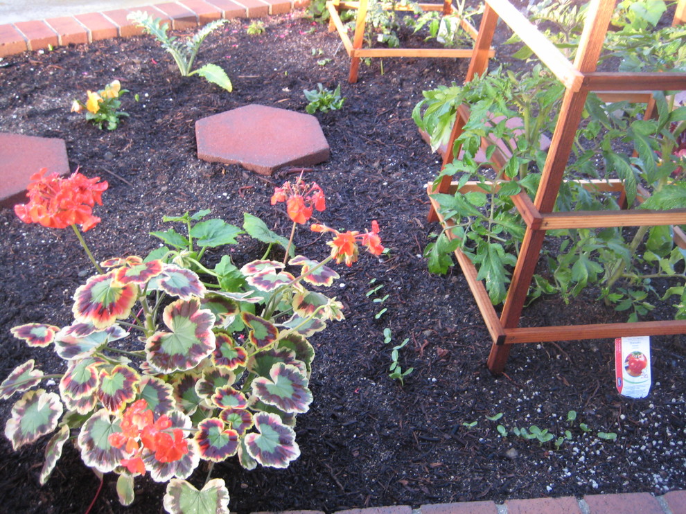 The Blue Wall - Landscape - Orange County - by Lisa Goff Landscape ...