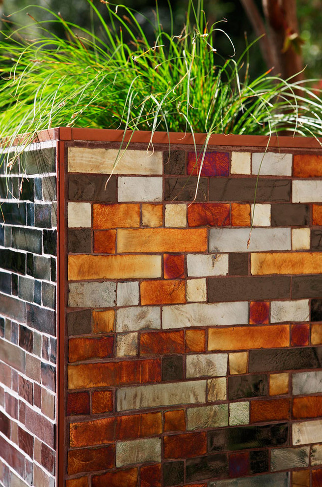 The Emerging Garden - Contemporary - Landscape - San Francisco - by ...