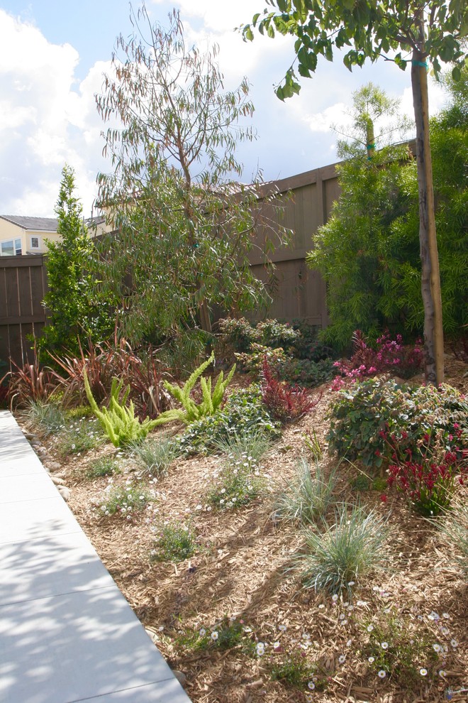 The Key is Privacy - Contemporary - Landscape - San Diego - by Jackie ...