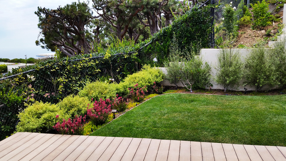 The Lachman Residence - Modern - Landscape - Los Angeles - by Studio ...