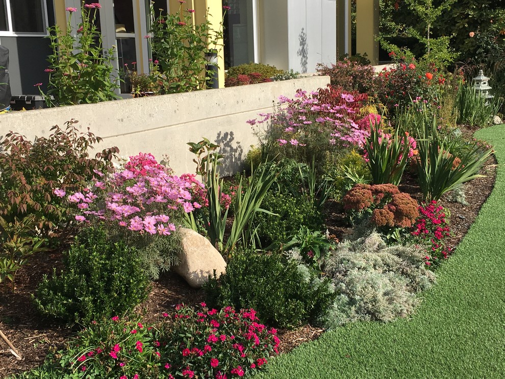 The Mixed Perennial & Shrub Border - Eclectic - Garden - Seattle | Houzz IE