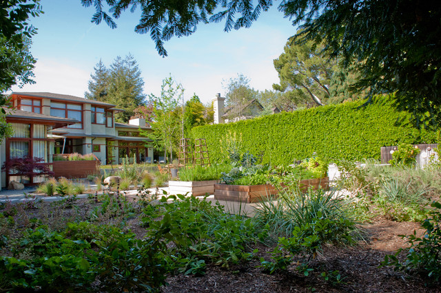 The Modern, Native Landscape - Modern - Garden - Los Angeles - by ...