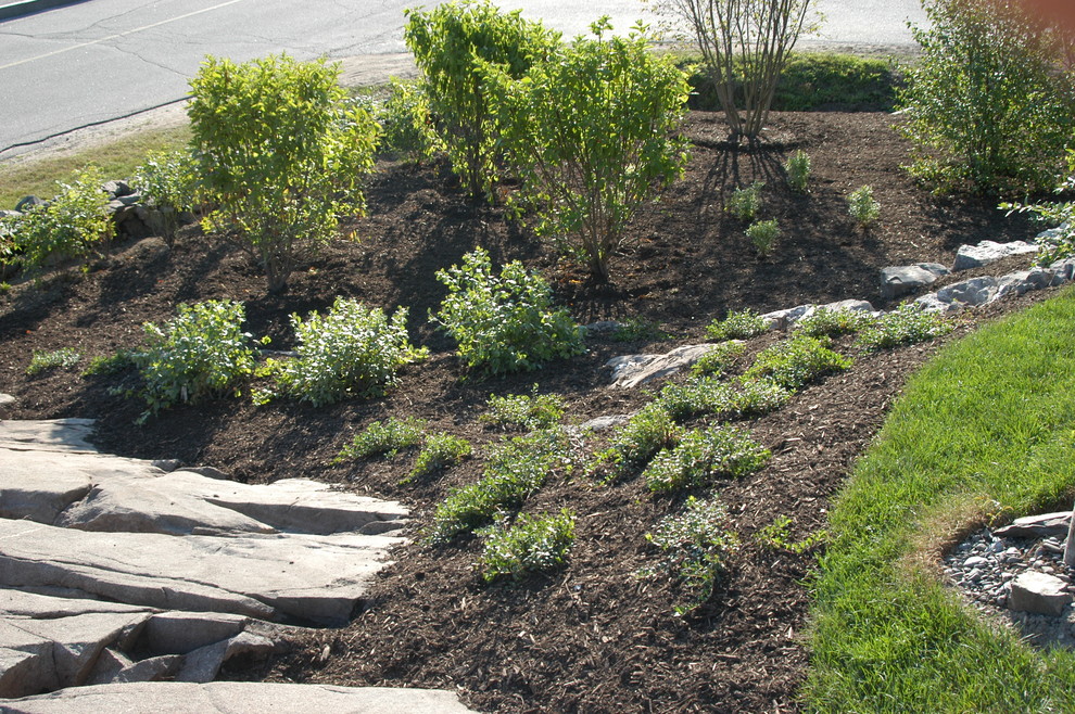 The natural ledge is exposed - Beach Style - Landscape - Portland Maine ...