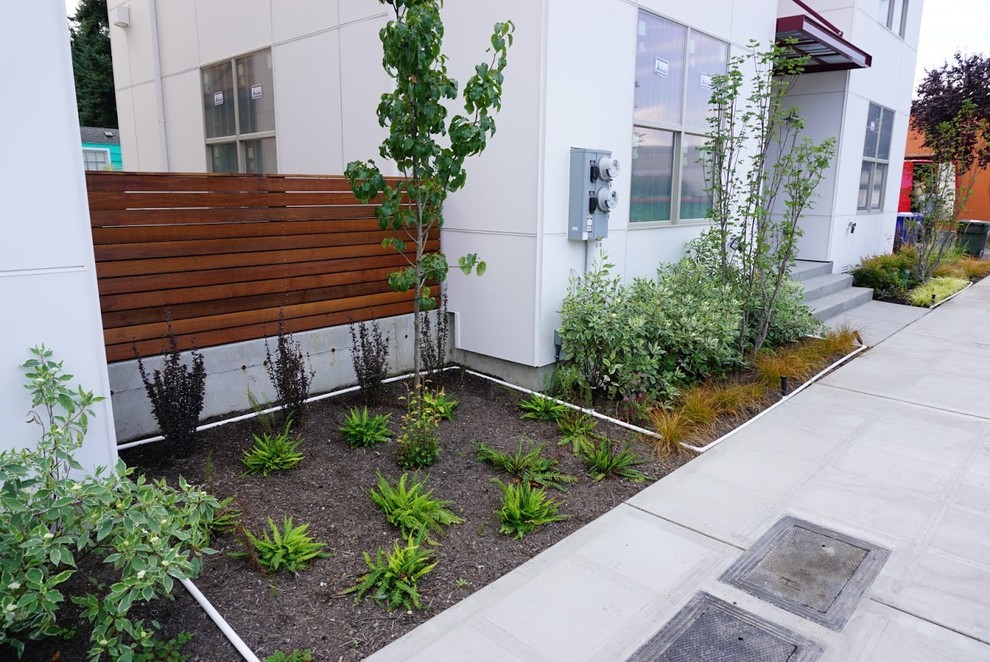 The White Whale - Modern - Landscape - Seattle - by True Scape Design ...