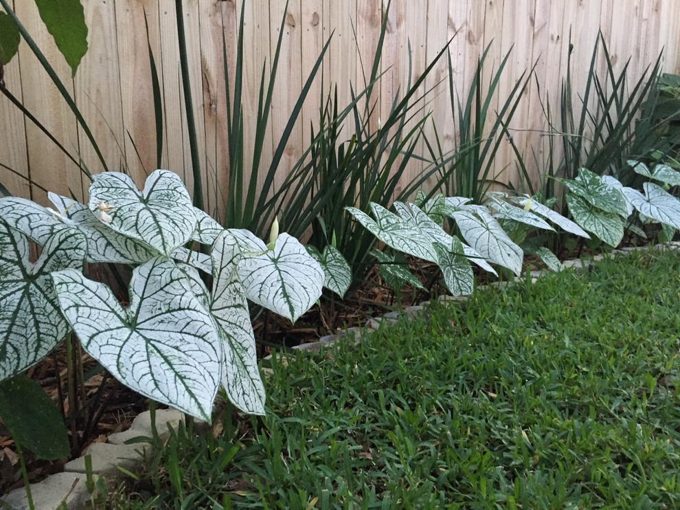 The Winding Garden - Traditional - Landscape - Tampa - by Margo Lee ...